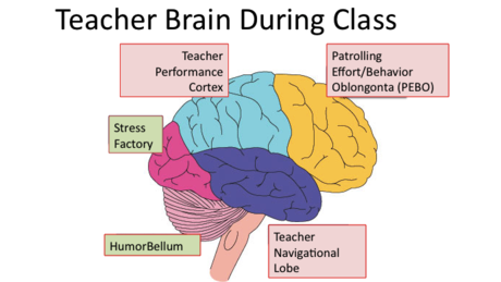 Coursera - Free Online Courses From Top Universities